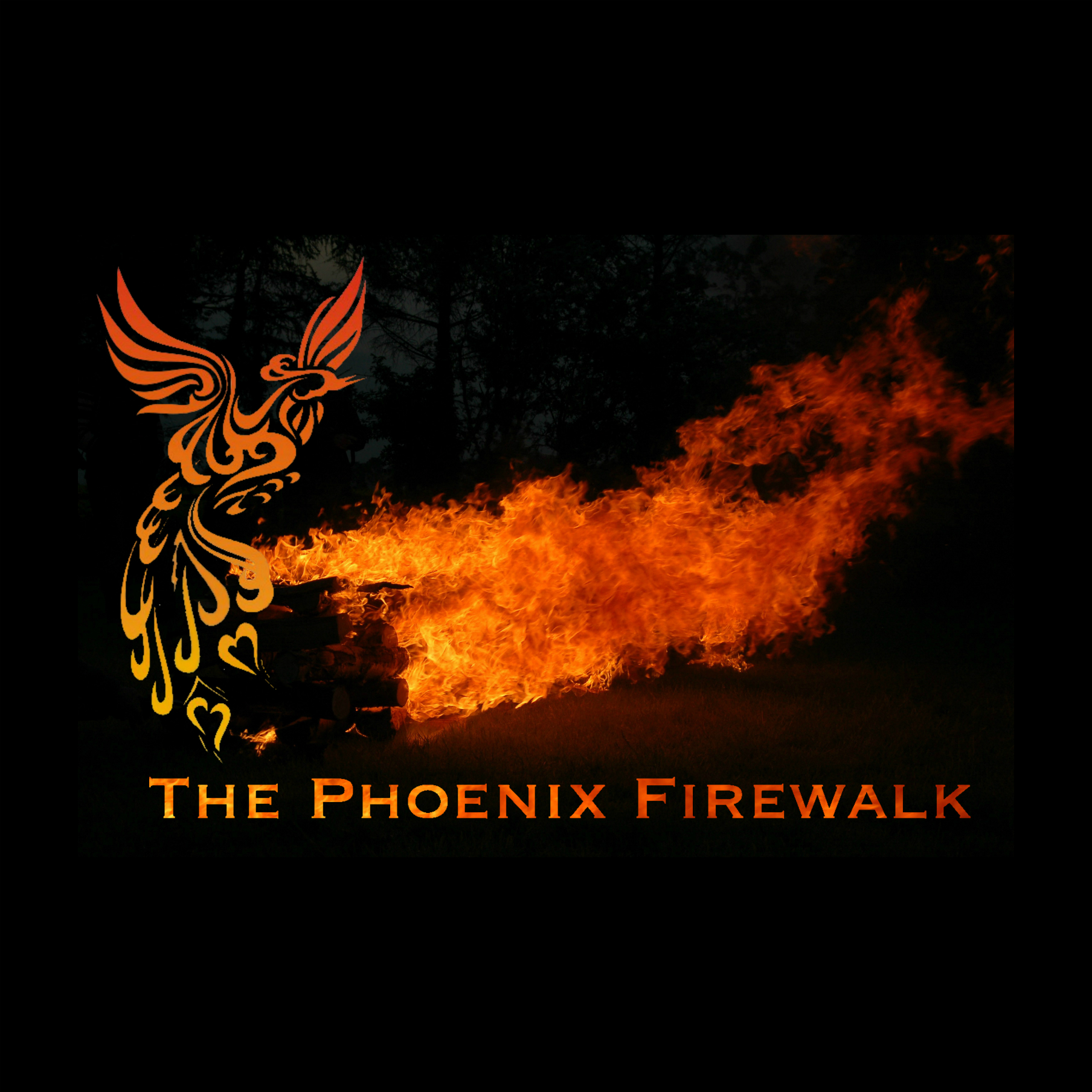 The Phoenix Firewalk - Charity, Corporate & Personal Development